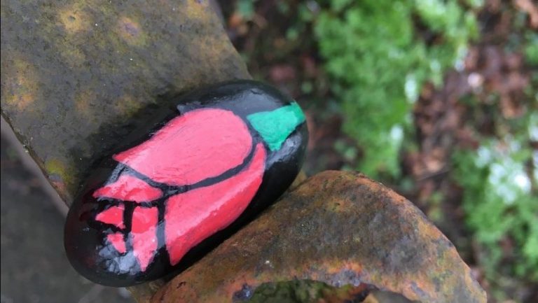 Harlow rocks!!! Harlow residents have been painting rocks and hiding ...